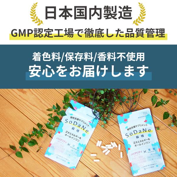 妊活 サプリ 男性 SoDaNe ソダネ 90粒 30日分 日本製 亜鉛 マカ NMN コエンザイム Q10 活力 精子 精育 アルギニン テストフェン シトルリン カルニチン 蘇種 ...