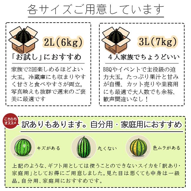 尾花沢 スイカ 種なし ブラックジャック 大玉 2L 6kg 山形 お中元 お盆 お供え ギフト プレゼント 贈り物 送料無料 農家直送 すいか 西瓜 むらかみ農園 : 農家直送フルーツ ...