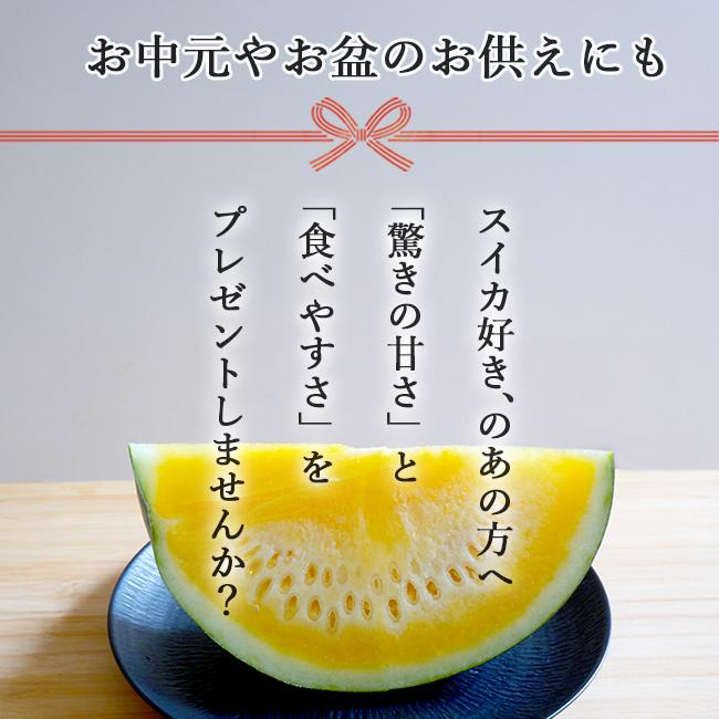 尾花沢 スイカ 種なし ゴールデンジャック 大玉 2L 6kg 山形 お中元 お盆 お供え ギフト プレゼント 贈り物 送料無料 農家直送 すいか 西瓜 むらかみ農園 : 農家直送フルーツ ...