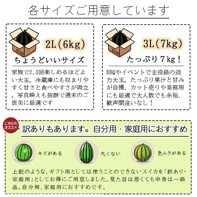 尾花沢 スイカ 種なし ゴールデンジャック 大玉 2L 6kg 山形 お中元 お盆 お供え ギフト プレゼント 贈り物 送料無料 農家直送 すいか 西瓜 むらかみ農園 : 農家直送フルーツ ...