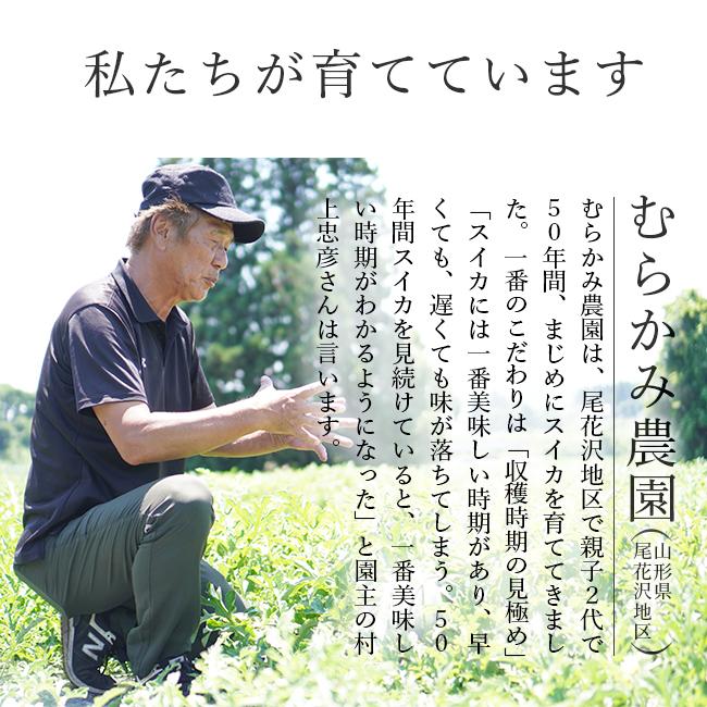 尾花沢 スイカ 種なし ゴールデンジャック 大玉 3L 7kg 山形 お中元 お盆 お供え ギフト プレゼント 贈り物 送料無料 農家直送 すいか 西瓜 むらかみ農園 : 農家直送フルーツ ...