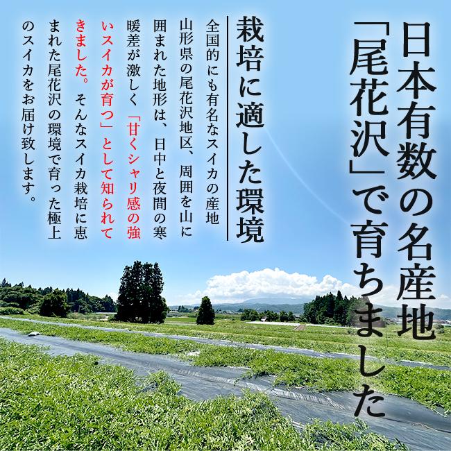 尾花沢 スイカ 金色羅王 大玉 3L 7kg 山形 お中元 お盆 お供え ギフト プレゼント 贈り物 送料無料 農家直送 すいか 西瓜 むらかみ農園 : 農家直送フルーツ ときわオンライン ...