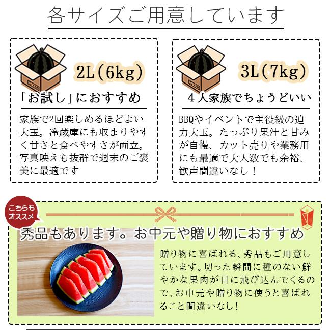 訳あり 尾花沢 スイカ 種なし ブラックジャック 大玉 3L 7kg 山形 家庭用 送料無料 農家直送 すいか 西瓜 むらかみ農園 : 農家直送フルーツ ときわオンライン - 通販 ...