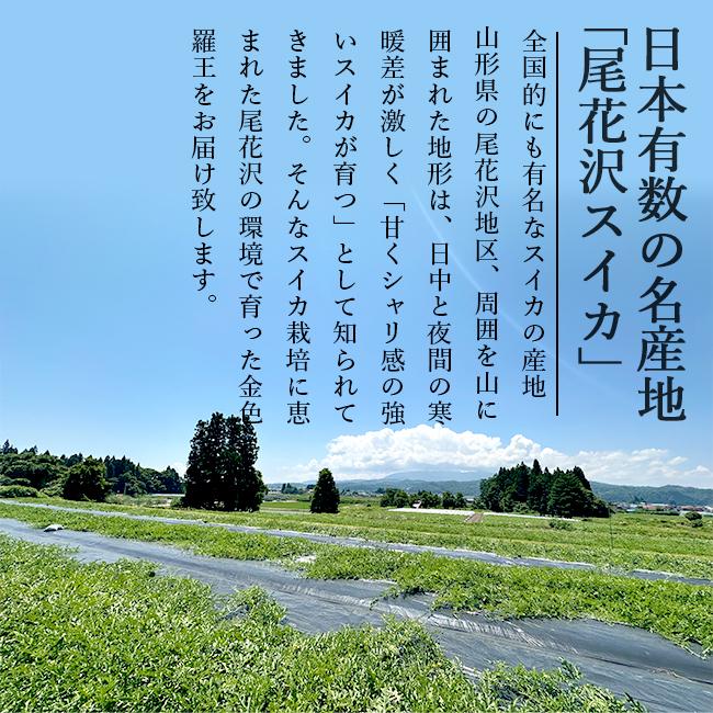 訳あり 尾花沢 スイカ 金色羅王 大玉 2L 6kg以上 山形 家庭用 送料無料 農家直送 すいか 西瓜 むらかみ農園 : 農家直送フルーツ ときわオンライン - 通販 - Yahoo!ショッピング