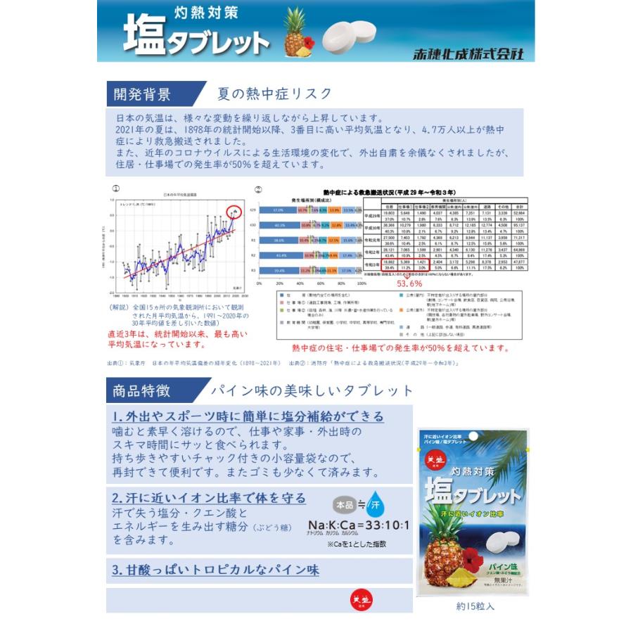 熱中症対策 塩タブレット パイン味 ( 28g×16袋 ) : 徳永薬局Yahoo!ショッピング店 - 通販 - Yahoo!ショッピング