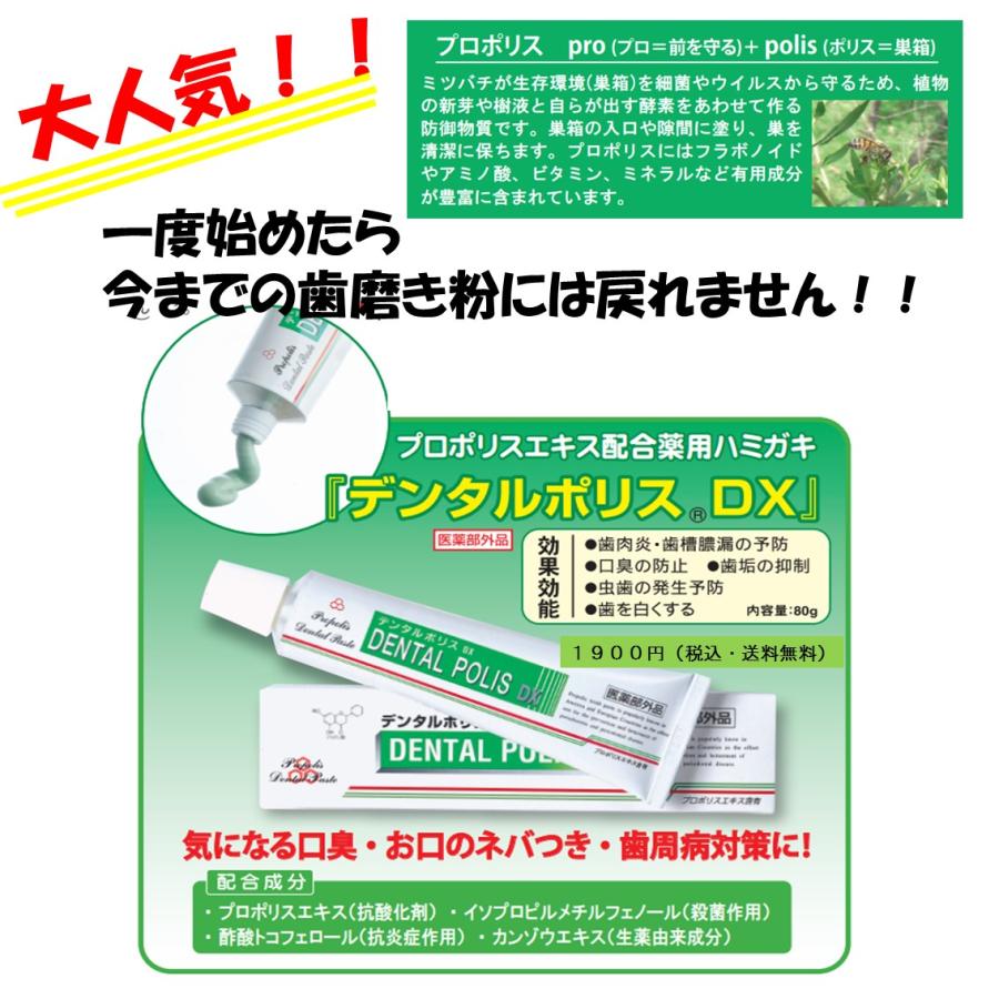 今だけ歯ブラシ付き！ デンタルポリスDX 80g プロポリス配合 歯磨き粉 プロポデンタル 日本製 歯周病 歯槽膿漏 歯周炎 : 徳永薬局Yahoo!ショッピング店 - 通販 - Yahoo ...