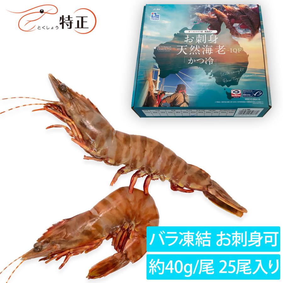 お刺身天然海老IQF「かつ冷」 ブラウンタイガー 約40g/尾 1Kg箱 25尾入り バラ凍結 高鮮度お刺身可能 : 特正 - 通販 - Yahoo!ショッピング