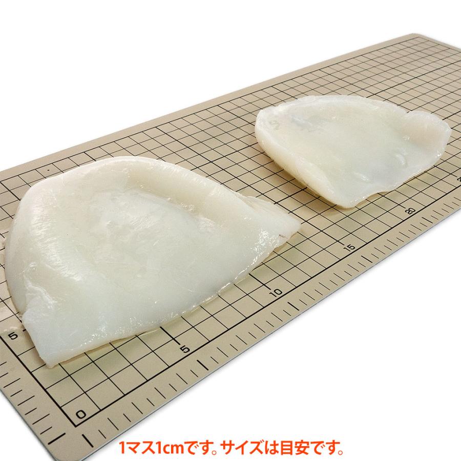 【加熱用】むき甲いか バラ凍結約8枚 1Kg袋入り : 001204-20 : 特正 - 通販 - Yahoo!ショッピング