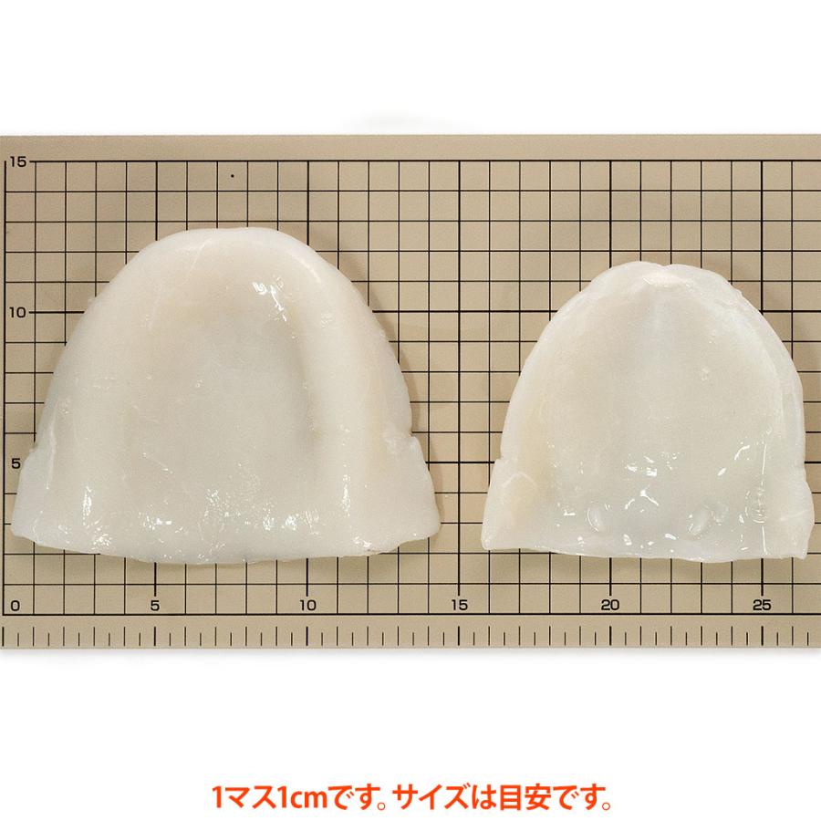 【加熱用】むき甲いか バラ凍結約8枚 1Kg袋入り : 001204-20 : 特正 - 通販 - Yahoo!ショッピング