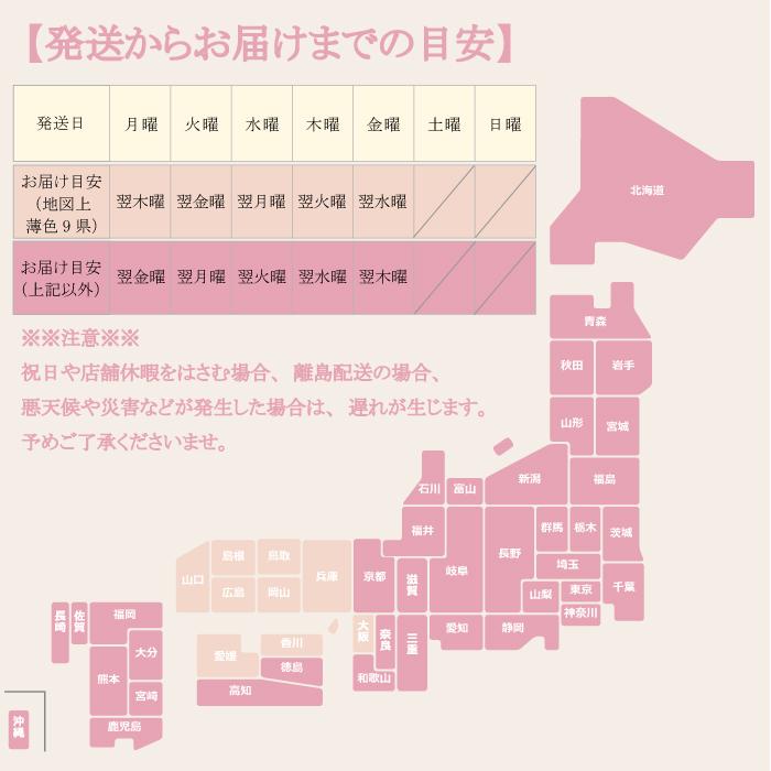 アルピジョン アルピュア ブライトアップ UV 45g ALPSION 美容液 化粧下地 日焼け止め 高濃度美容成分 シミ シワ たるみ 紫外線 ブルーライト ブロック : x-n ...