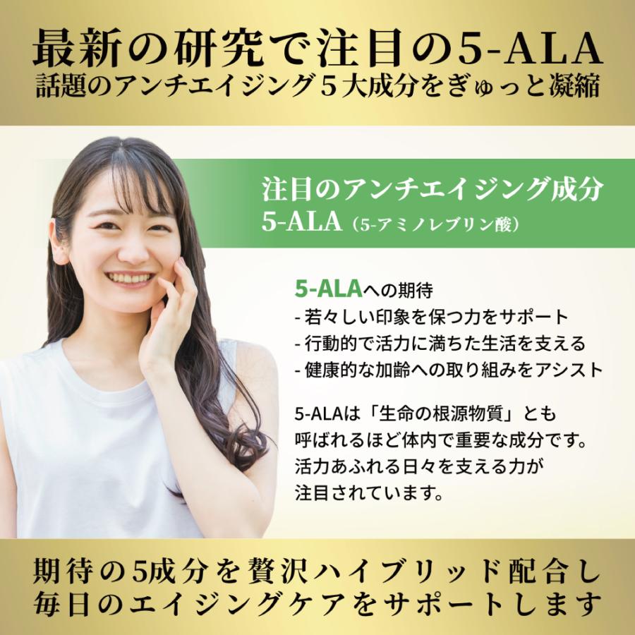 5-ALA＋NMN＋CoQ10サプリメント 60粒入り 5個セット 1粒に5-ALA50mg配合 日本製 NMN コエンザイムQ10 5ala ファイブアラ GMP認定製造 二酸化チタン不使用 ...