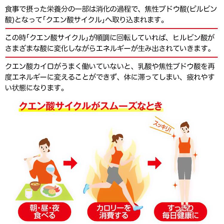 ポイント10倍 メダリスト 顆粒 560g チーム用 (20L分) アリスト クエン酸 アミノ酸 ミネラル ビタミン クエン酸飲料 健康 美容 スポーツ ダイエット 代謝 : トキオライン ...