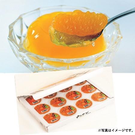 2025年 夏ギフト お中元B048 熊本県産 デコポンゼリー 【順次発送】 (*) : 東急ストア Yahoo!ショッピング店 - 通販 - Yahoo!ショッピング