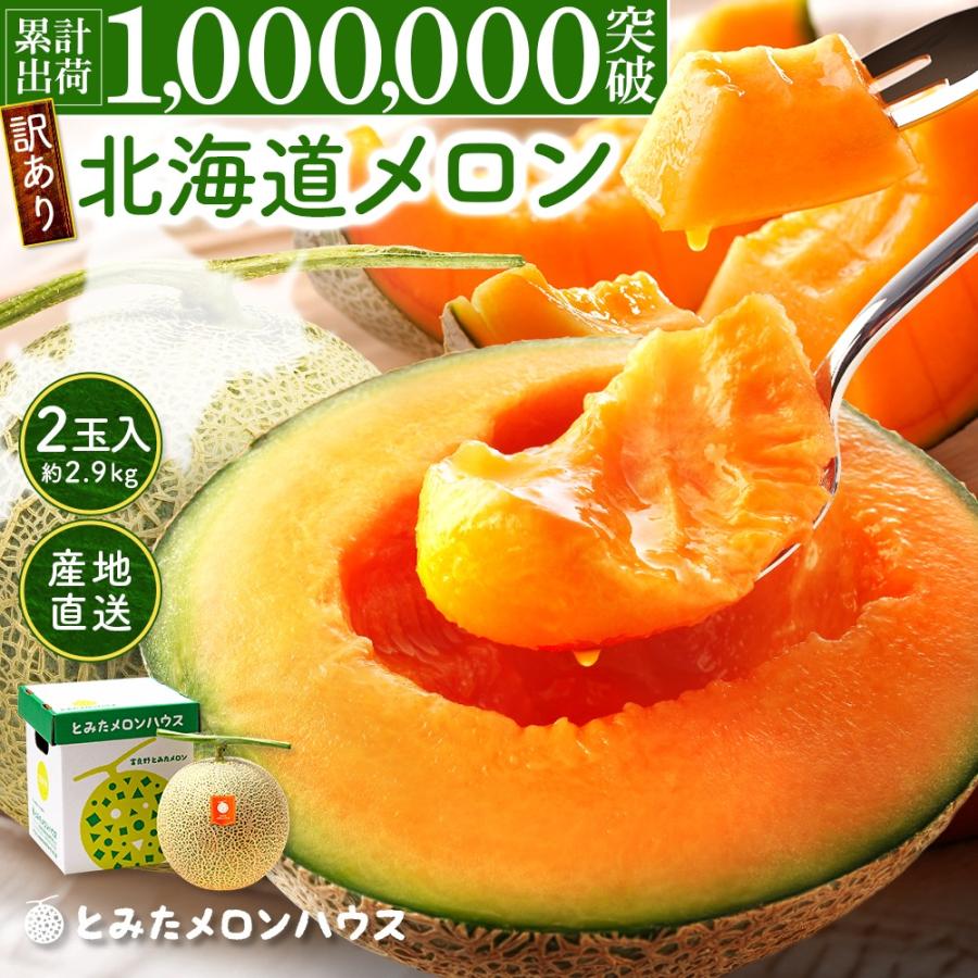 訳あり メロン 約2.9kg 2玉入 北海道産（富良野メロン、他）送料無料 : とみたメロンハウスYahoo!ショップ - 通販 - Yahoo!ショッピング