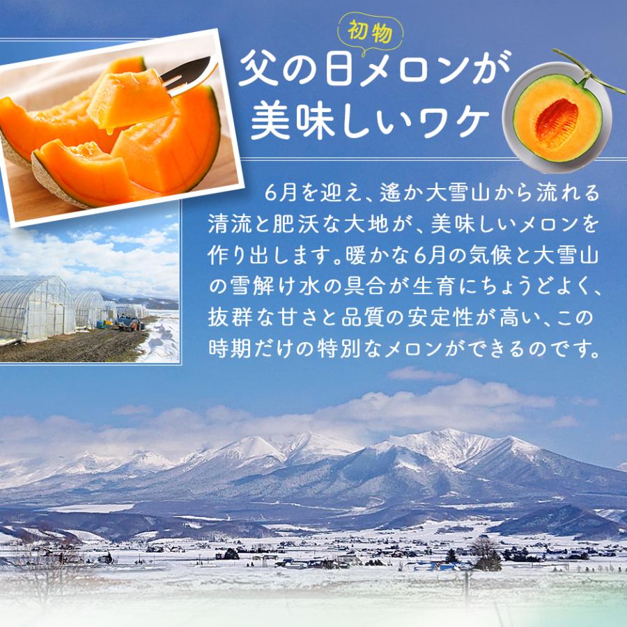父の日ギフト 富良野メロン 1玉 約1.6kg Lサイズ 果物 ギフト 赤肉 食品 フルーツ くだもの めろん お取り寄せグルメ 食べ物 贈り物 プレゼント 御中元 お中元 : とみたメロン ...