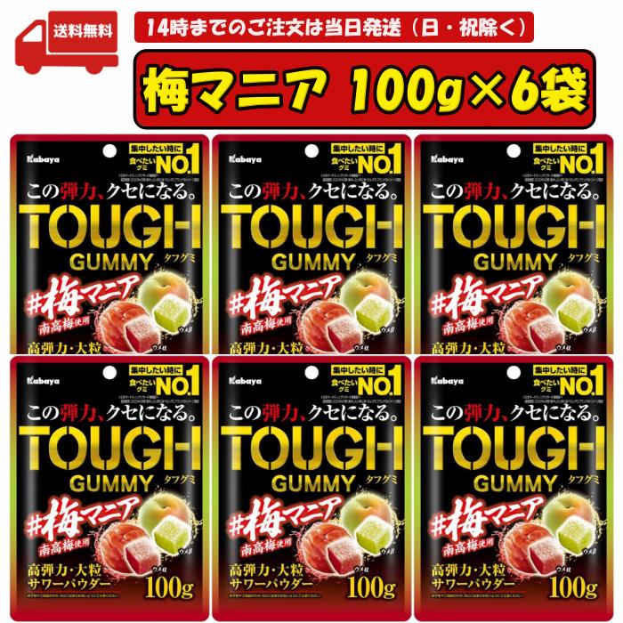 Kabaya カバヤ タフグミ 梅マニア 100g×6袋 賞味期限2025.06.30 : 富屋-ONLINE - 通販 - Yahoo!ショッピング
