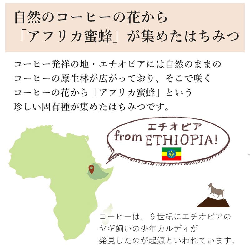 COFFEE FOREST HONEY エチオピア産ハチミツ 170g :56958:FRESH ROASTER珈琲問屋 Yahoo!店 - 通販 - Yahoo!ショッピング