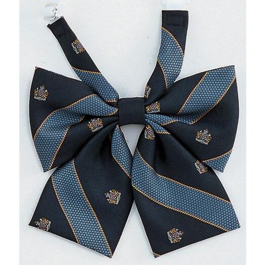 【5枚セット】スクールリボン ハネクトーン HANECTONE 【ストライプ（エンジ/茶）】スクール小物 5mai-80jg-3 : トップ学生服 - 通販 - Yahoo!ショッピング