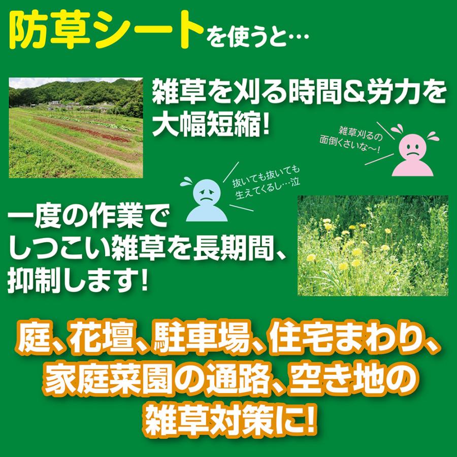 防草シート 除草シート 10m 固定ペグ8本 滑り止めシート 8枚 セット 農用シート 厚手 雑草対策 強力 芝生 草 砂利 人工芝 送料無料- 80N 10m防草シート : TOP1 ...