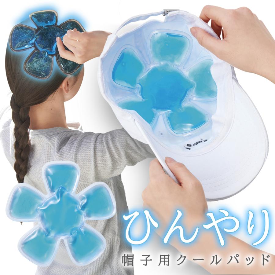 帽子 冷やす アイスパッド ひんやり帽子 熱中症対策 冷却シート 冷感マット 保冷剤 頭 冷たい スポーツ 大人 子供 自転車 /60N : TOP1!プライス - 通販 - Yahoo!ショッピング