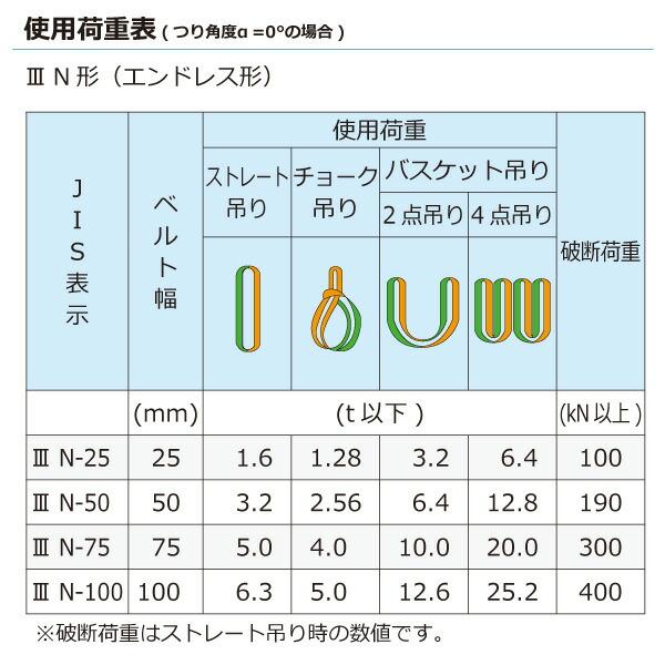 TORAY 東レインターナショナル ナイロンスリング N3N エンドレス形 1.6ton 幅25mm 長さ0.75m (41028 ...