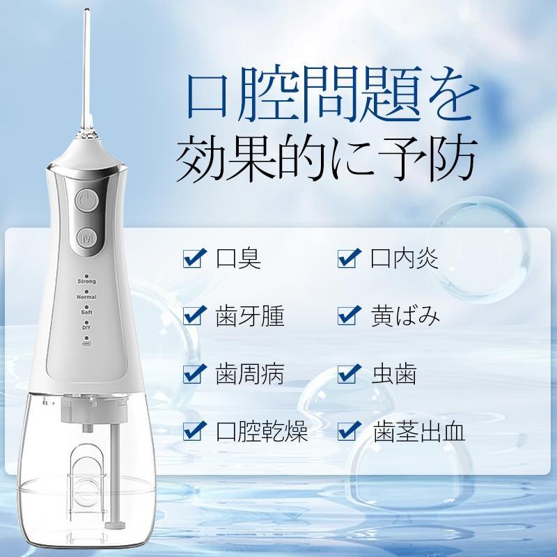 2025年最新版 口腔洗浄器 ウォーターピック ジェットウォッシャー 口腔