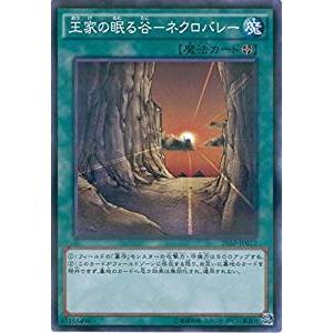 遊戯王 20AP-JP022 王家の眠る谷−ネクロバレー (ノーマルパラレル） 20th ANNIVERSARY PACK 1st WAVE 20AP : 20ap-jp022 : トレカ道 ...