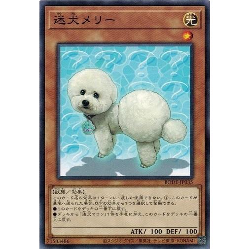 コナミデジタルエンタテインメント 遊戯王 BODE-JP035 迷犬メリー (ノーマルレア） バースト・オブ・デスティニー : トレカ道 - 通販 - Yahoo!ショッピング