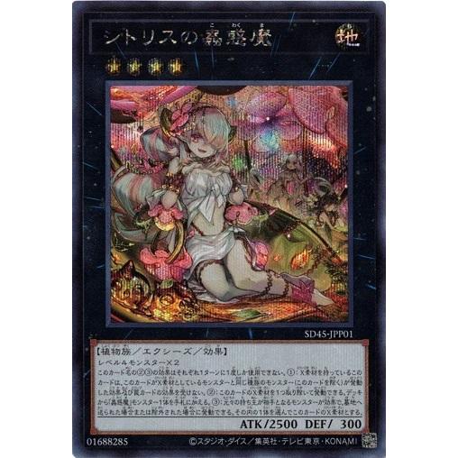 コナミデジタルエンタテインメント 遊戯王 SD45-JPP01 シトリスの蟲惑魔 (シークレットレア) ストラクチャーデッキ−蟲惑魔の森− : トレカ道 - 通販 - Yahoo!ショッピング