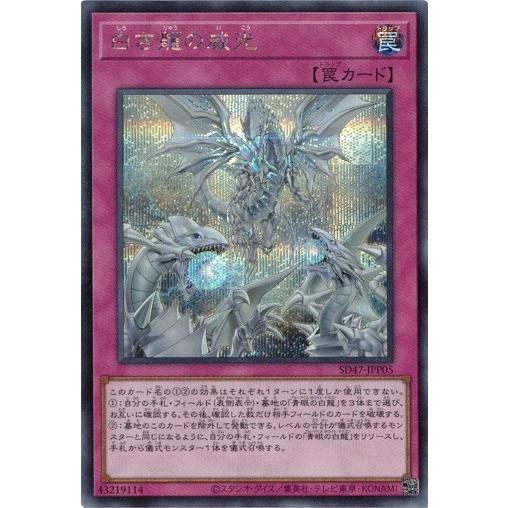 白き龍の威光 シークレットレア SD47-JPP05 青き眼の光臨 遊戯王 : sd47-jpp05se : トレカ道 - 通販 - Yahoo!ショッピング