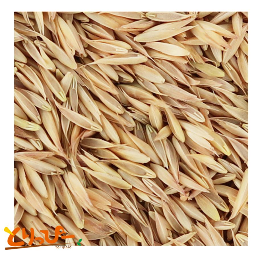 NPF PRO オーチャードグラス 35g 小鳥のダイエット / メール便 : とりっぴー小鳥用品専門店 - 通販 - Yahoo!ショッピング