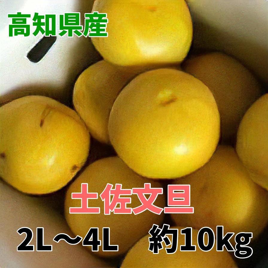 訳あり ご家庭用 高知県土佐市産 土佐文旦 丸善 2L〜4L 約10kg : buntan-025 : 土佐うまいもん市場カウウル - 通販 - Yahoo!ショッピング