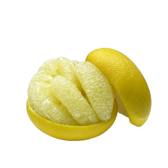 高知県産 土佐文旦 大玉 3L〜4Lサイズ 約10kg ご家庭用 ご贈答用 : 土佐うまいもん市場カウウル - 通販 - Yahoo!ショッピング