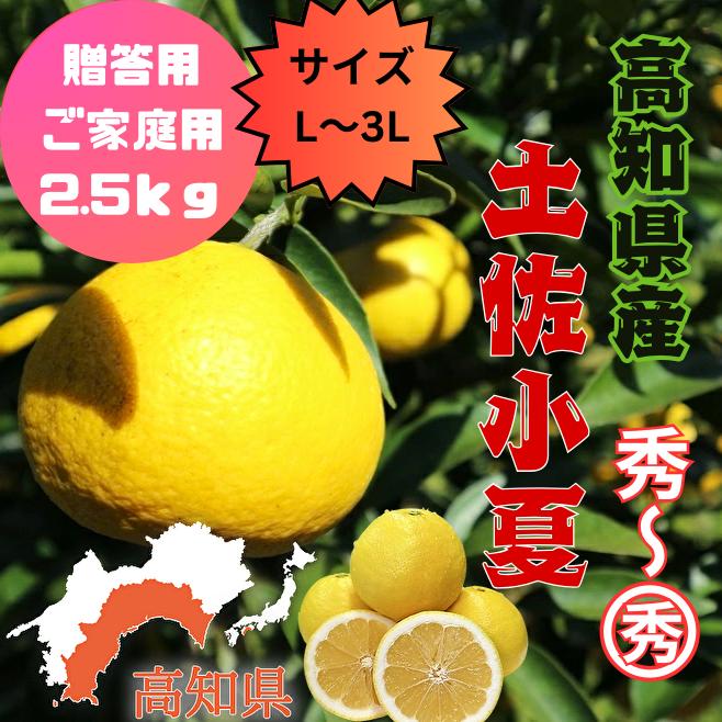 ご贈答・ご家庭用に最適 高知県産 ハウス 小夏 秀品〜マル秀品 2L~4Lサイズ 約2.5kg 日向夏 ニューサマーオレンジ : 土佐うまいもん市場カウウル - 通販 - Yahoo!ショッピング