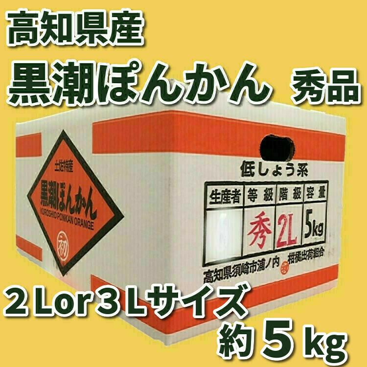 高知県産 黒潮ぽんかん 秀品 約5kg 2L または 3Lサイズ : 土佐うまいもん市場カウウル - 通販 - Yahoo!ショッピング