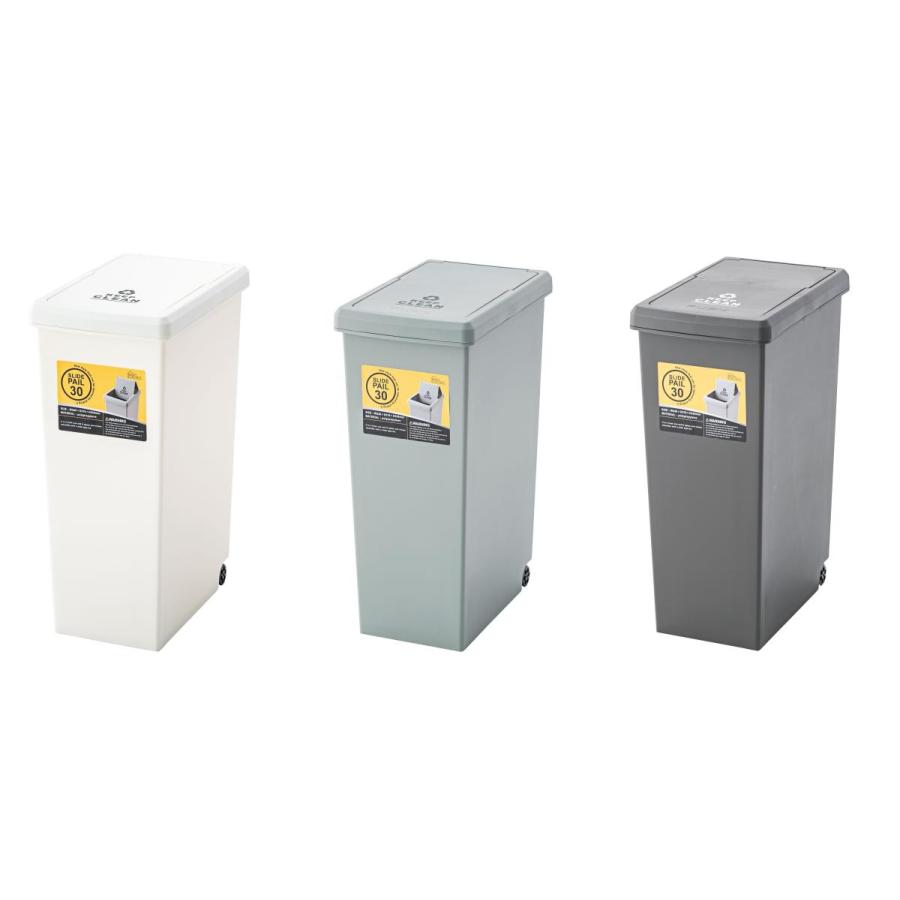LFS-762 スライドペール30L ダストボックス キャスター付 ポリプロピレン 分別ゴミ箱 キッチン スライドロック式 ブラウン グリーン ホワイト 東屋 : 株式会社山崎屋 - 通販 ...