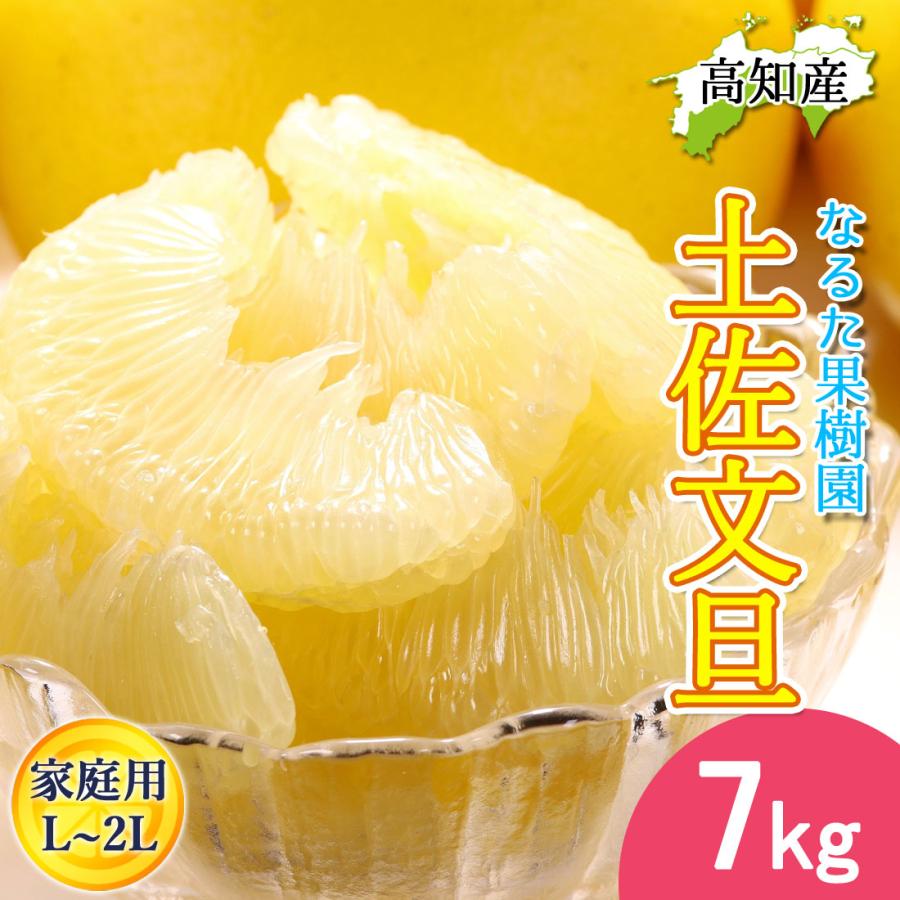 文旦 土佐文旦 家庭用 7kg L〜2Lサイズ 14〜18玉 なるた果樹園 宿毛 ぶんたん 宿毛市 産地直送 高知産 7キロ ジューシー まろやか 果物 柑橘 送料無料 : yp-nk ...