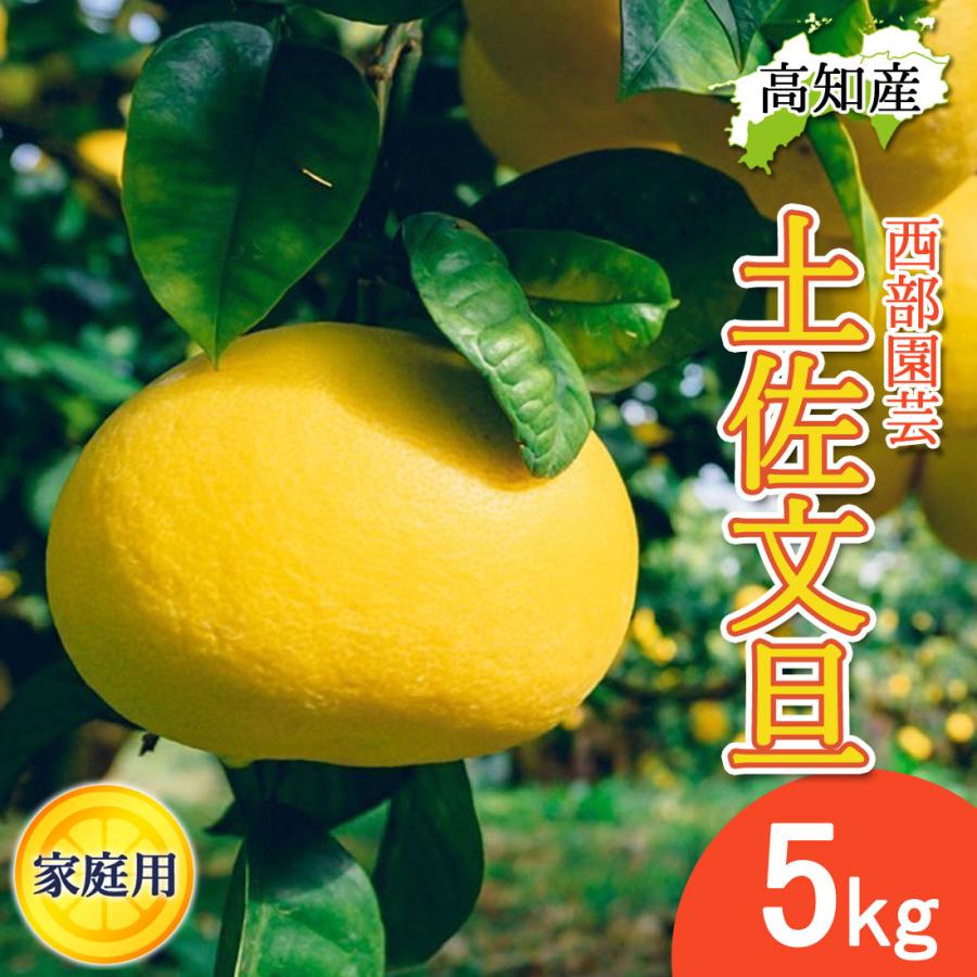 【予約】文旦 土佐文旦 家庭用 5kg L〜4Lサイズ 混合 8〜12玉 西部園芸 宿毛 ぶんたん 宿毛市 産地直送 高知産 5キロ 果物 柑橘 送料無料 : 土佐の旨味市場 - 通販 ...