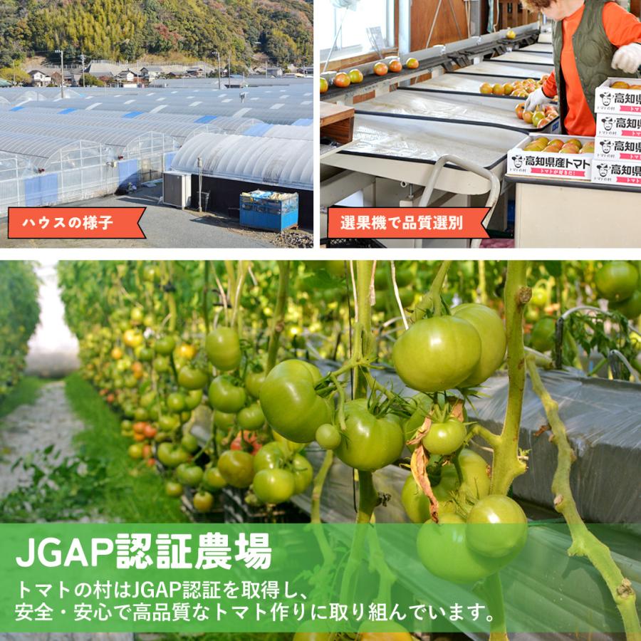 西畑直送 トマト 3L 4L 大きすぎるトマト 4kg 大玉トマト トマトの村 JGAP認証農場 高知産 新鮮 産地直送 高知県産 家庭用 4キロ 甘くない 2L L M S 送料無料 ...