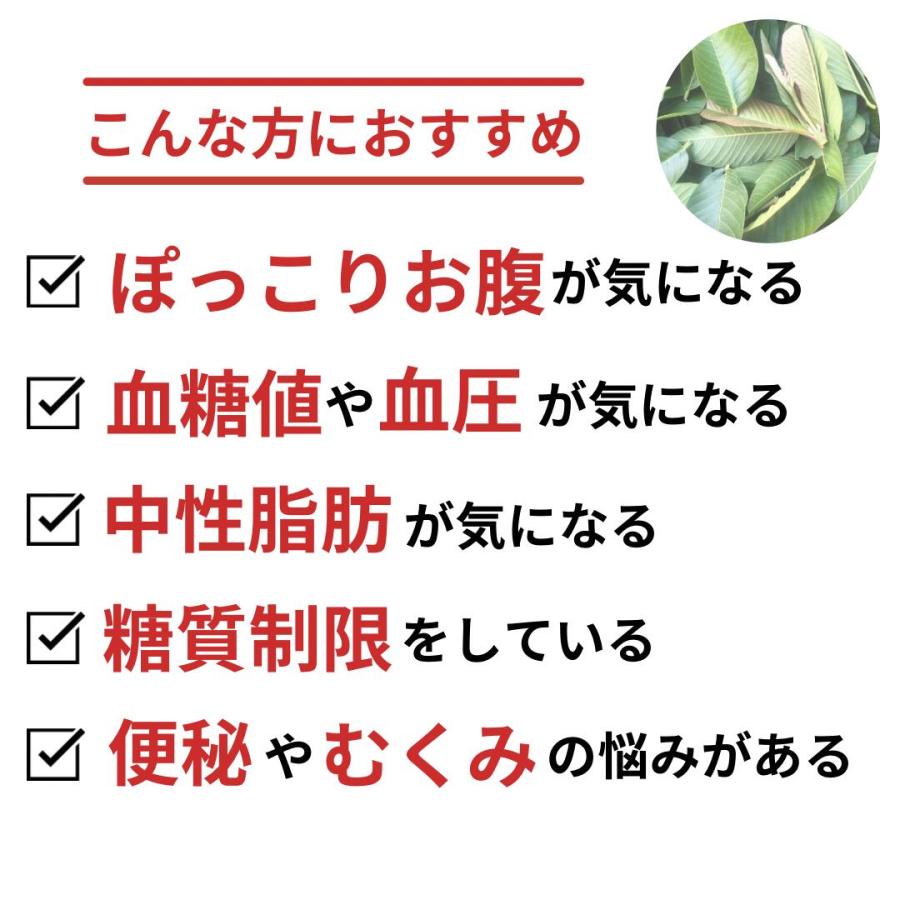 国産 土佐國グァバ茶 ティーバッグ2g×30包 【送料無料】有機JAS認証 南国にしがわ農園 無農薬栽培 花粉症 ポリフェノール : 10000376 : とささとプロジェクト ヤフー店 ...