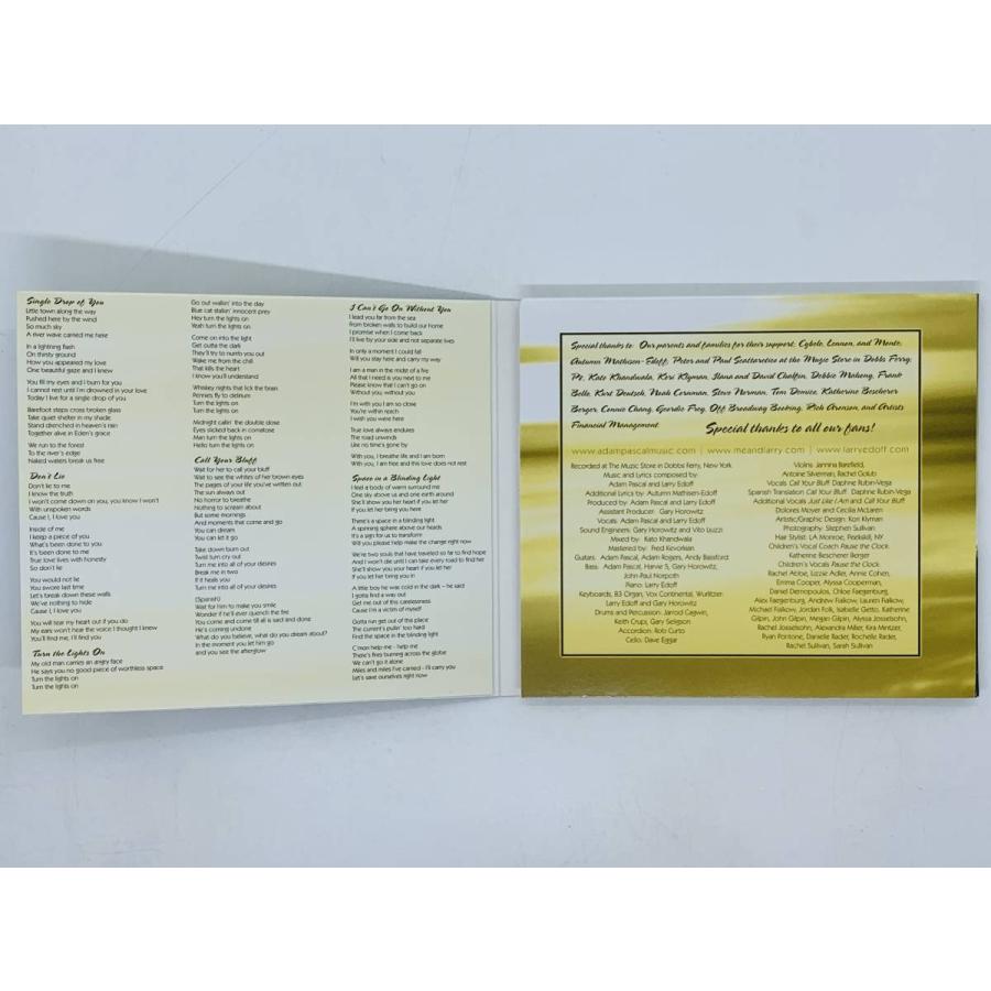 即決CD BLINDING LIGHT / Adam Pascal & Larry Edoff / Single Drop of You Don't Lie Call Your Bluff ...