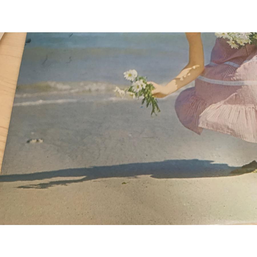 即決9LP 美女ジャケ Popular MUSIC STANDARD COLLECTION / アルバム 9枚組 レコード L10 ...