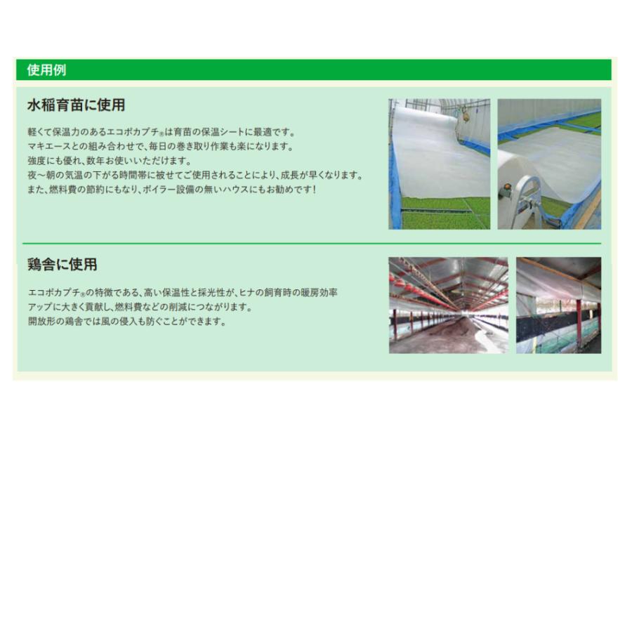 ブランド登録なし エコポカプチ d37L(標準タイプ) 1800mm幅×50m巻 《1本の場合》 : 資材屋さん2号店 - 通販 - Yahoo!ショッピング