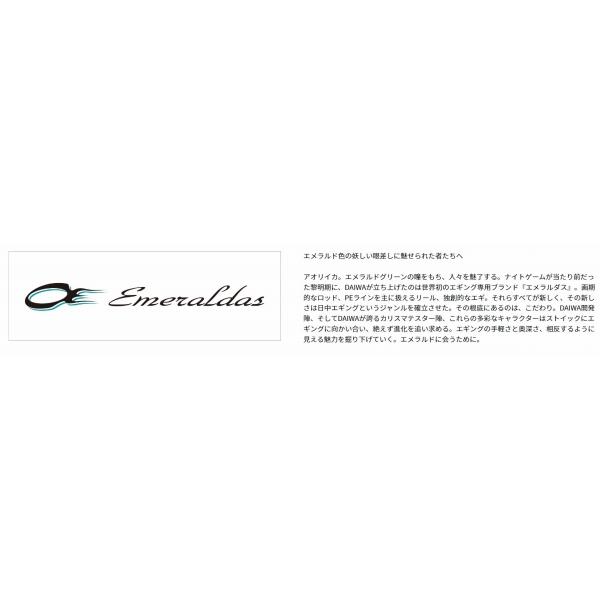 EMERALDAS STOIST RT IL 84MLM ダイワ EMERALDAS STOIST RT IL 84MLM ダイワ