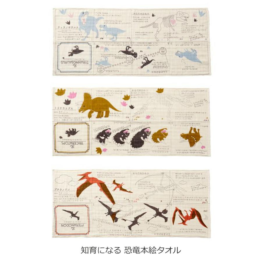 lien de famille おむつケーキ 絵本タオル ハンカチ 男の子 女の子 リヤンドファミーユ Lien ベビーケーキ 出産祝い オムツケーキ k01-002 k01-004 : 東西 ...