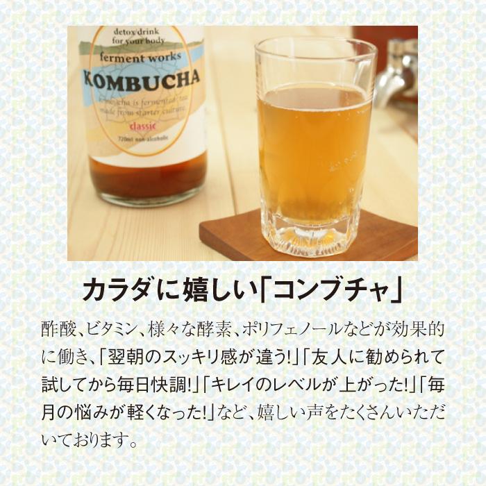ferment works KOMBUCHA classic 720ml×2本 【国産無添加クラフトコンブチャ】 紅茶キノコ｜ストレート ...