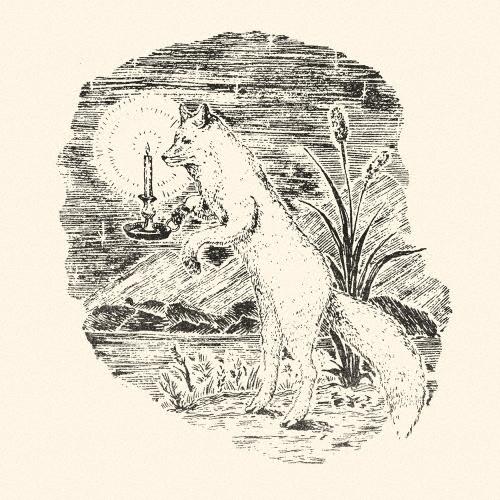 加藤りま Faintly Lit CD : タワーレコード Yahoo!店 - 通販 - Yahoo!ショッピング