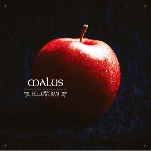 HOLLOWGRAM MALUS CD :4146585:タワーレコード Yahoo!店 - 通販 - Yahoo!ショッピング