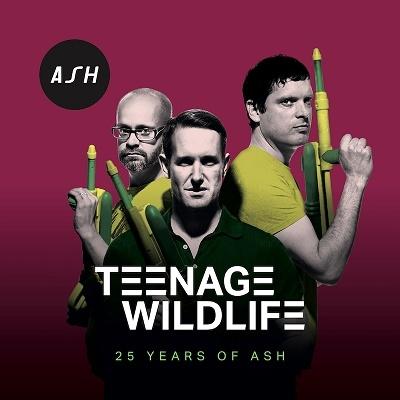 Ash Teenage Wildlife: 25 Years of CD : タワーレコード Yahoo!店 - 通販 - Yahoo!ショッピング
