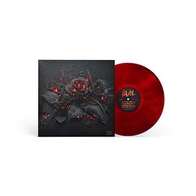 Future Evol (5th Anniversary)＜Translucent Red And Black Smoke Vinyl＞ LP : タワーレコード Yahoo!店 - 通販 ...